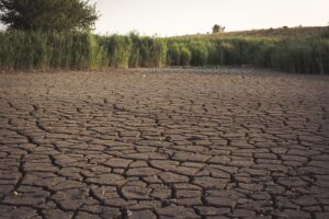 Día Cero, esta es la fecha en que México se quedará sin agua